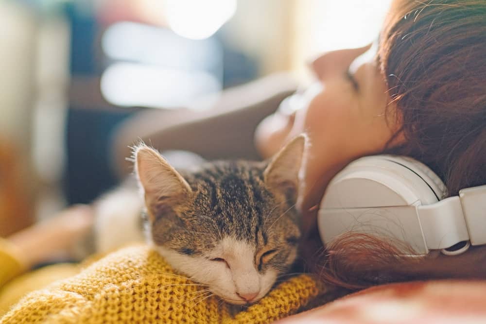 How pets contribute to our Mental Wellbeing | 608 Vets News
